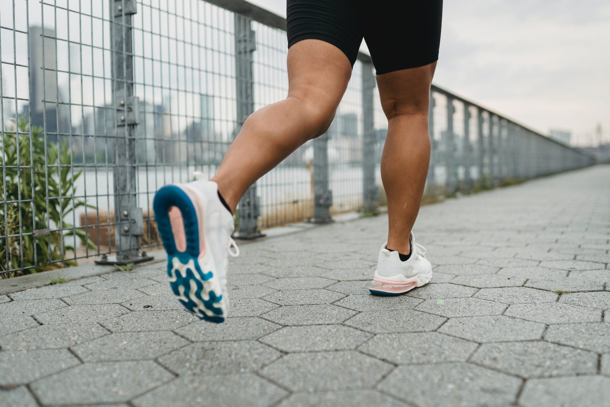 Muscle forces and fascicle behavior during three hamstring exercises ...